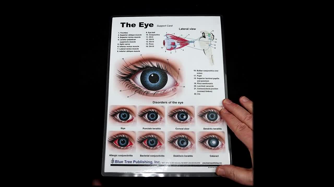 Lacrimal Papilla Aye, Eye – The Eyes – Part 2!” – Outlander