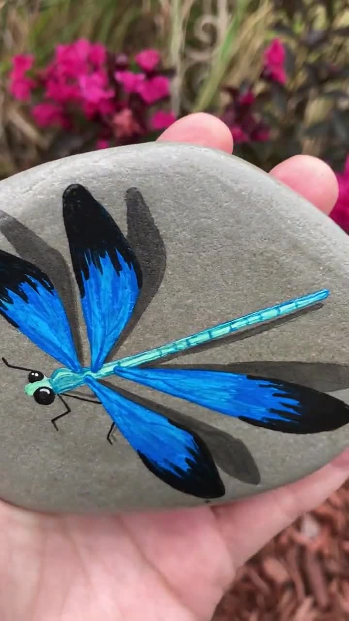 Painted Rocks Dragonfly