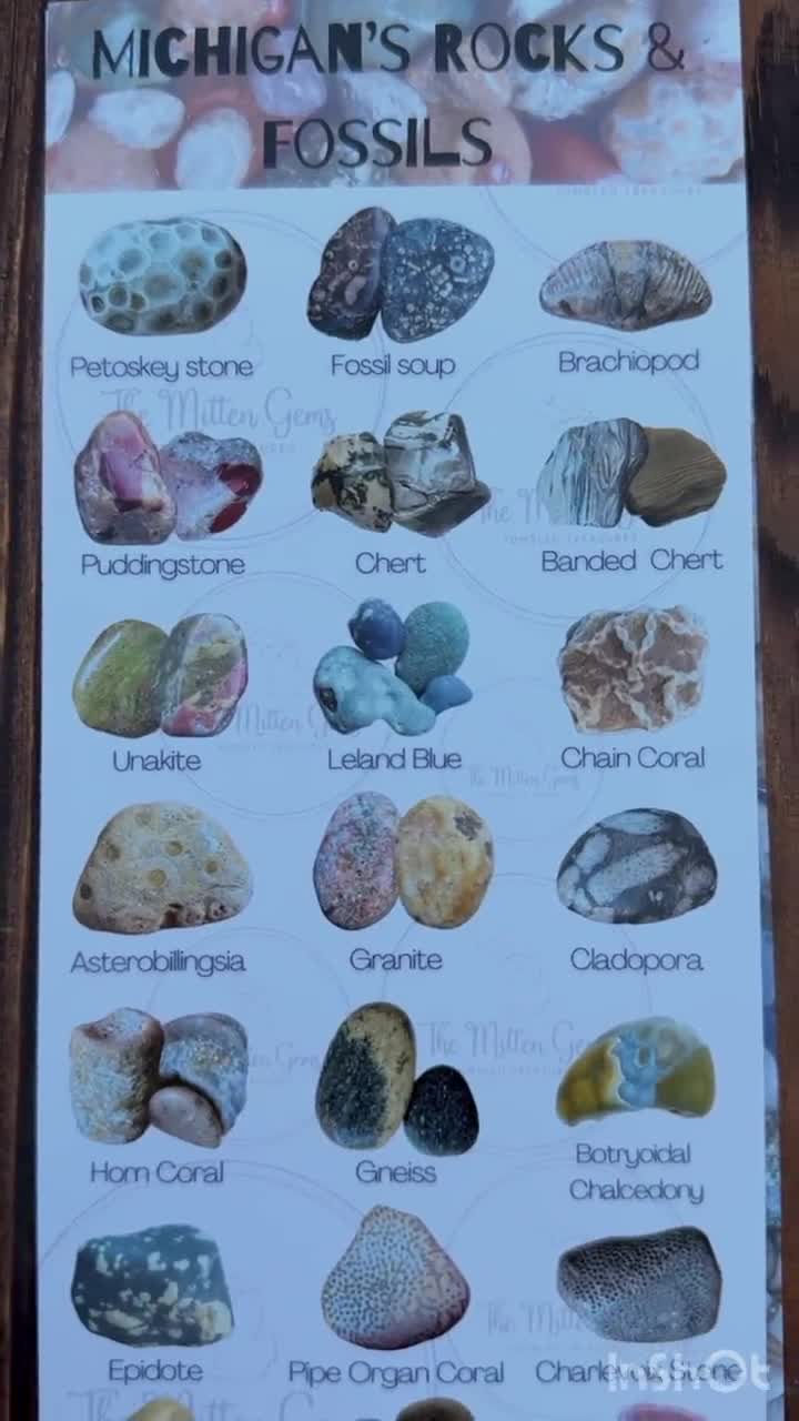 Lake Michigan Rock Identification FOSSIL & ROCK HUNT AT CRESCENT BEACH