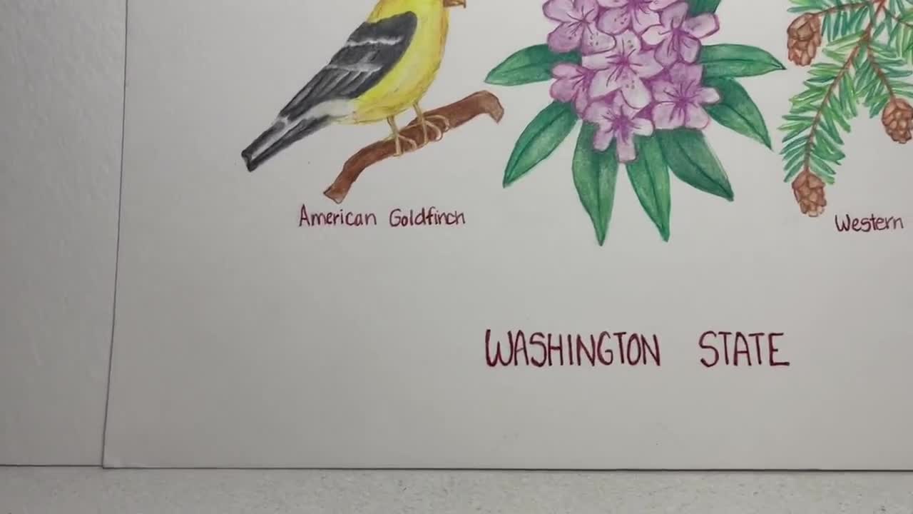 Washington State Flower Cartoon