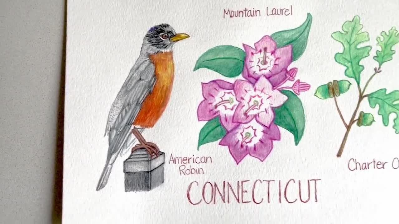 Connecticut State Bird And Flower 1959 1982 20c State Birds And