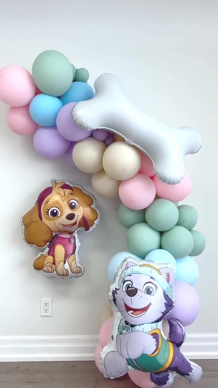 Paw Patrol 3rd Birthday Decorations 4th Birthday Skye & Everest Paw ...