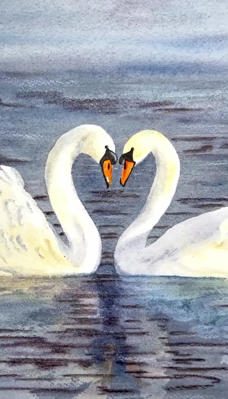 Two Swans Drawing Free Swans Creating Love Image | Download At