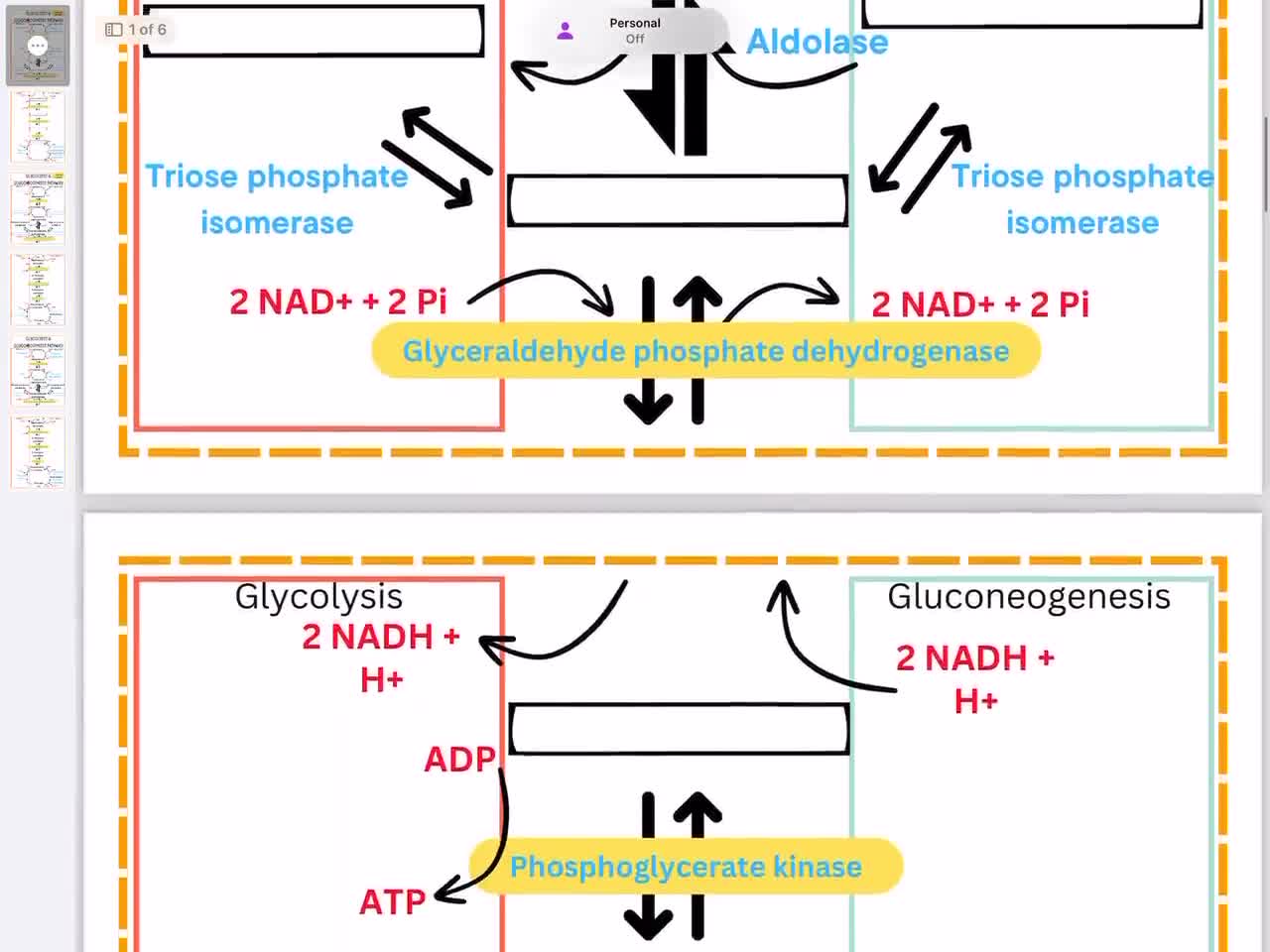 Glycolysis Worksheet