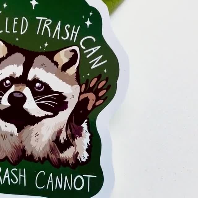 Bad Pun Raccoon Template