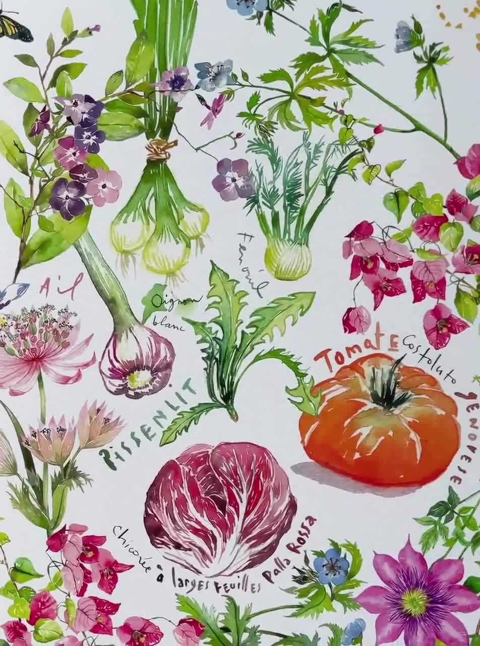 Vegetable Botanical Illustration