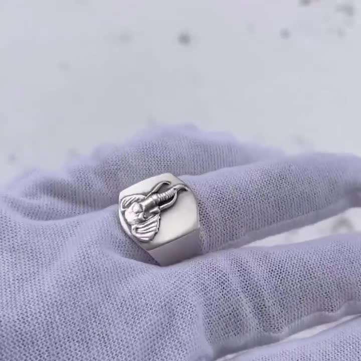 Anello Di Fidanzamento Della Moglie Di John Legend Sylvester Stallone