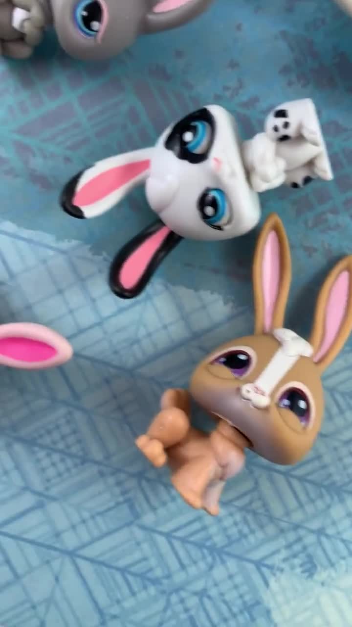 Littlest Pet Shop Fuzzy Bunny