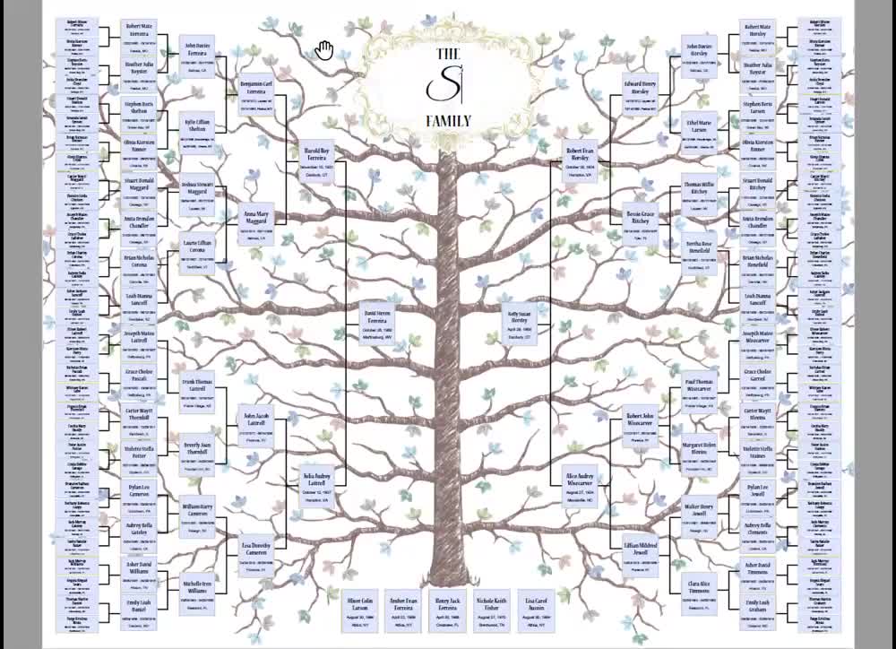 Albero Genealogico Vuoto 6 Generazioni
