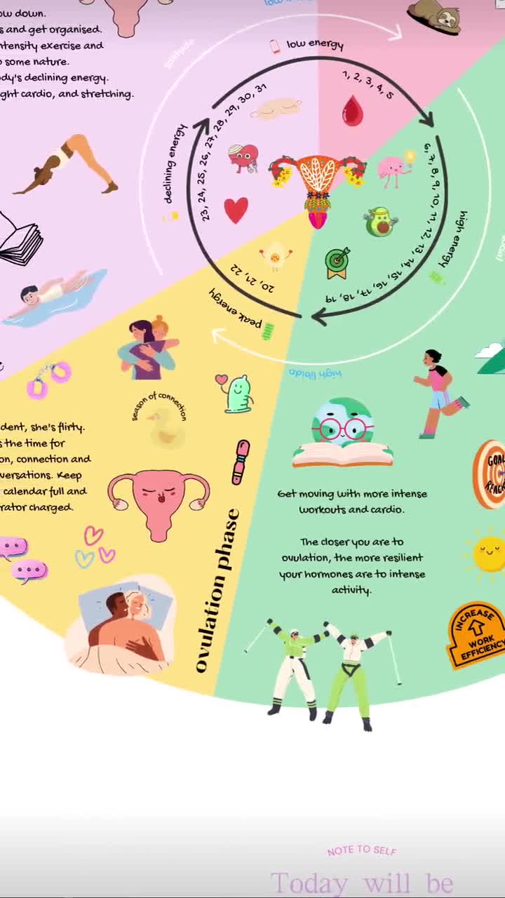 Menstrual Cycle Infographic All About Infographic