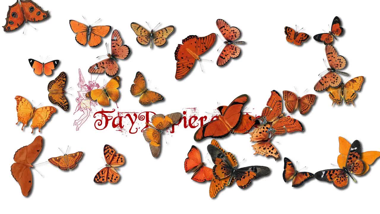 Orange Butterfly Flying