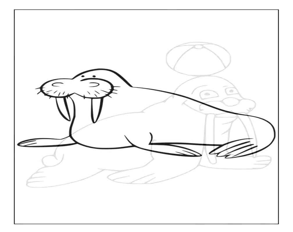Walrus Coloring Walrus Coloring Page | Free Printable Coloring Pages