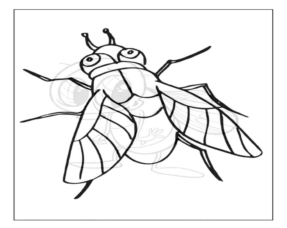 House Fly Coloring Page Black Fly Coloring Page Coloringcrew.com