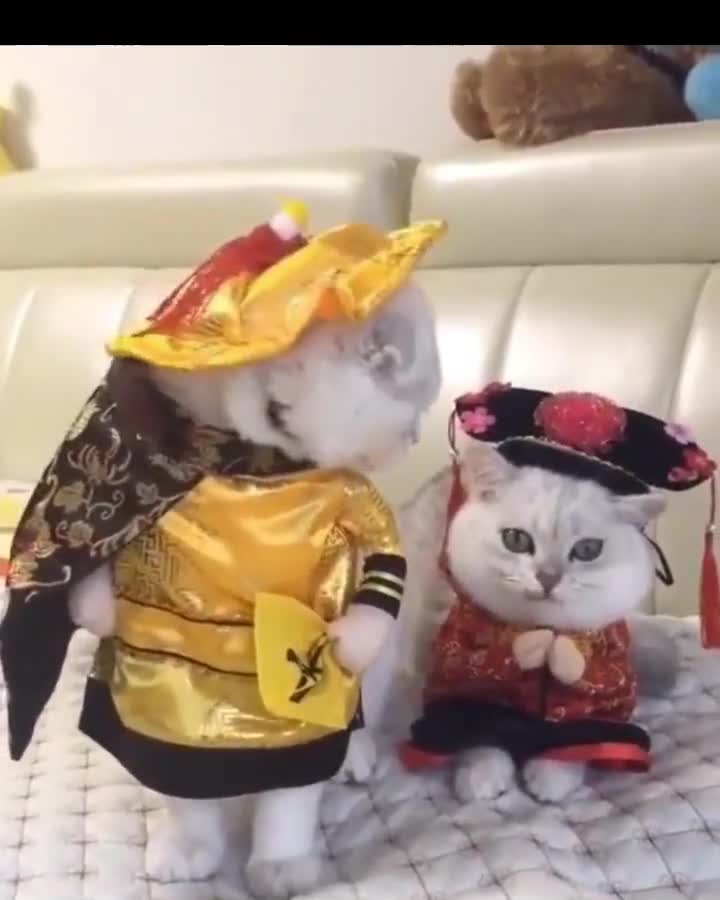 Chinese Lucky Cat Costume