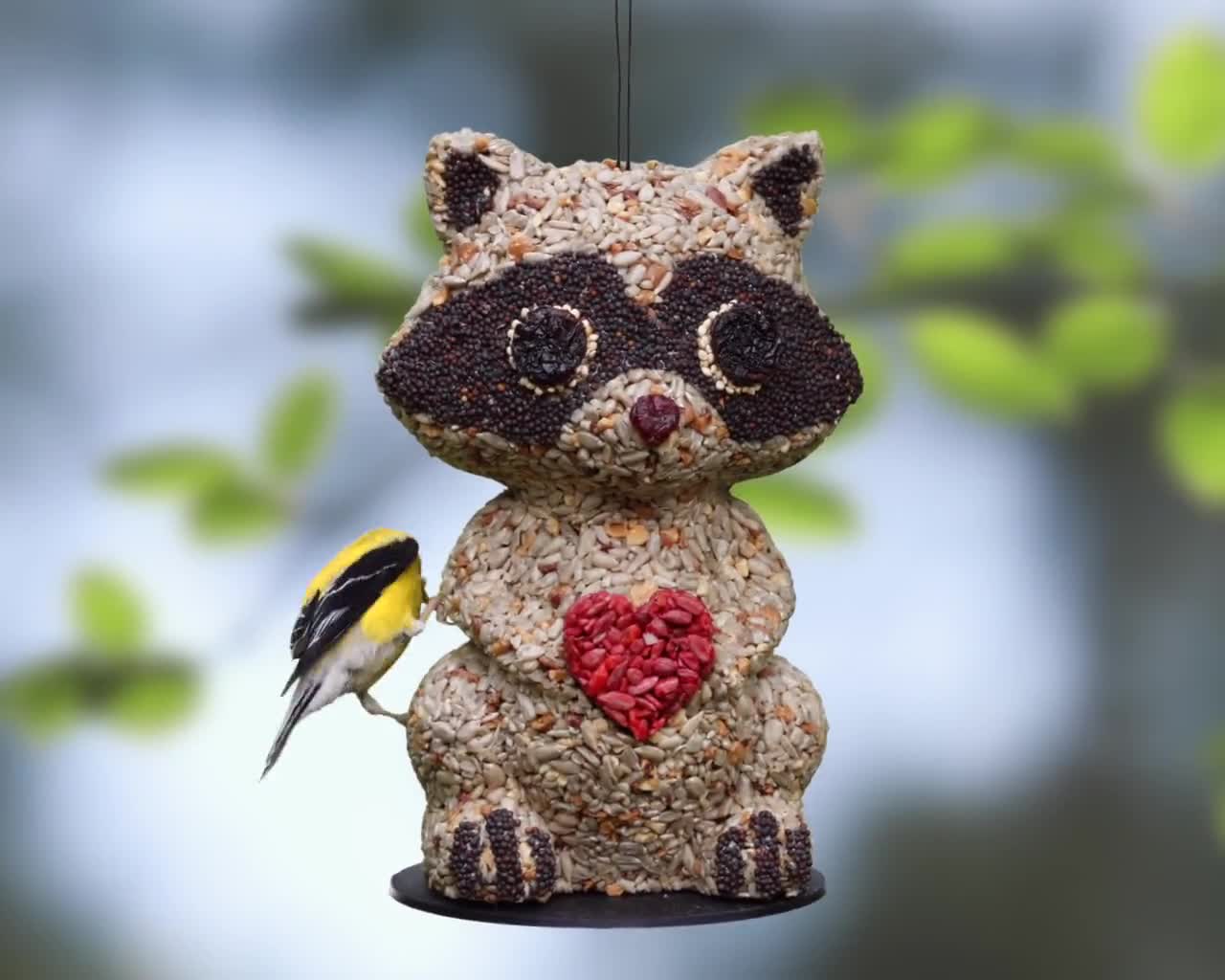 Solar Raccoon Bird Feeder Solar Bird Feeder Outdoor Hanging Garden