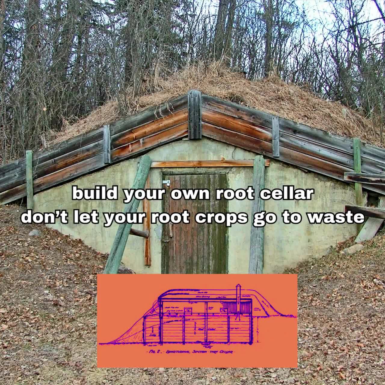 Make Your Own Root Cellar