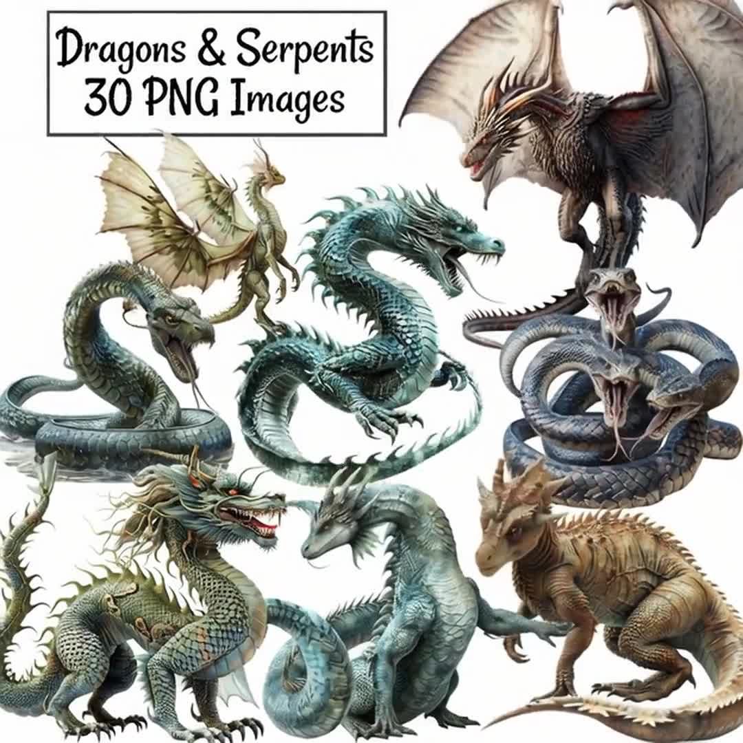 fantasy dragon types