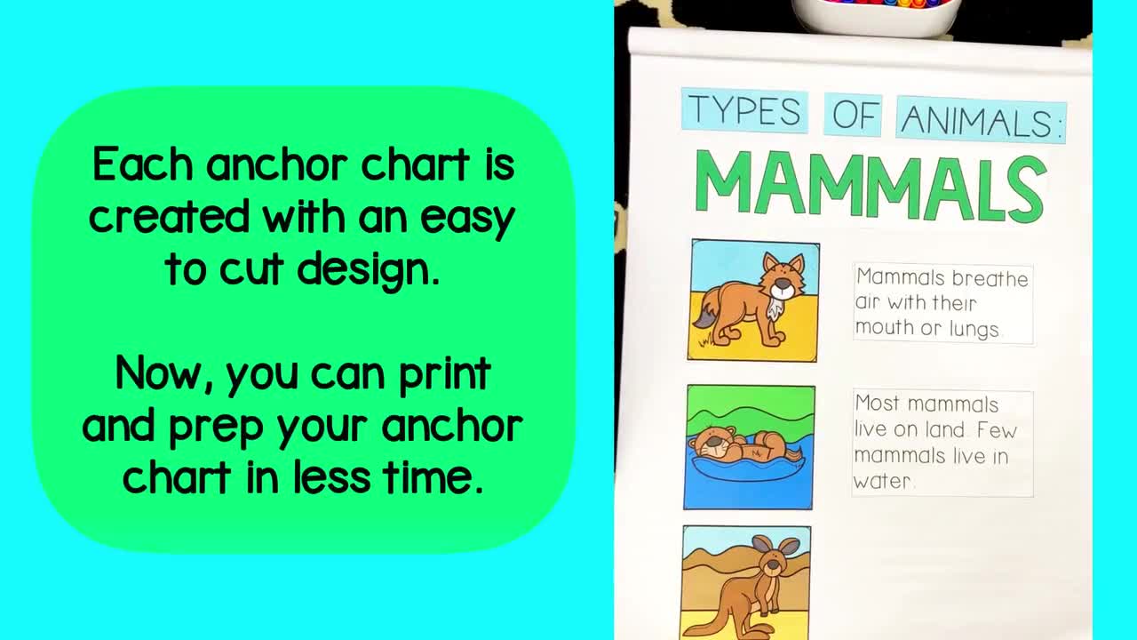 Types Of Mammals Chart