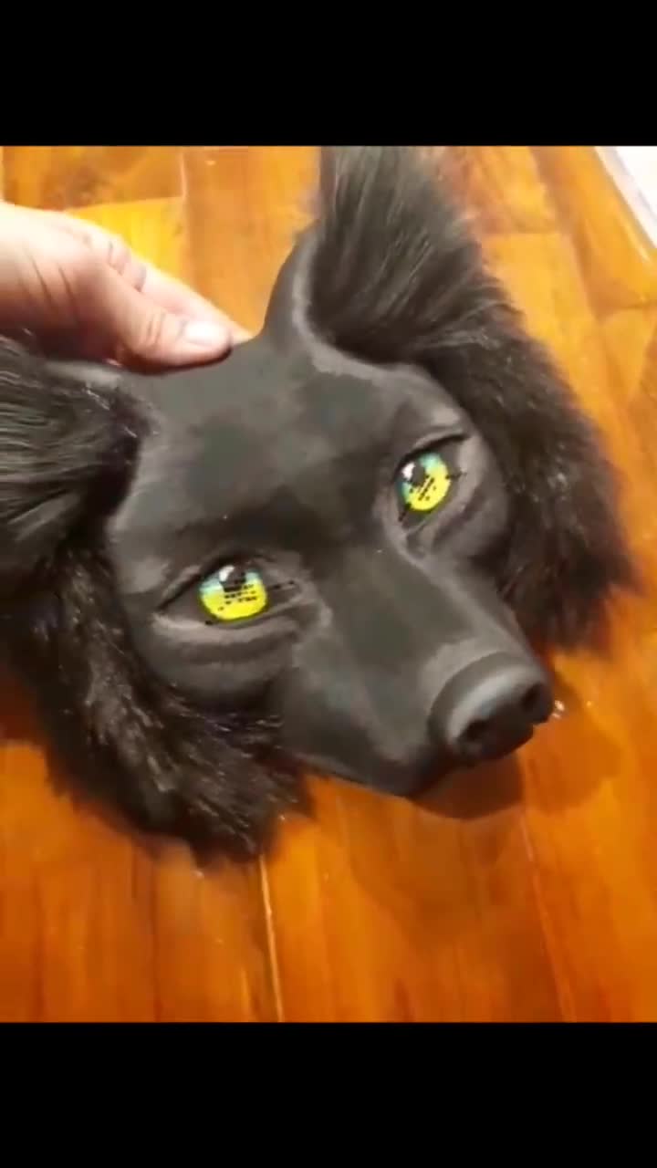 Wolf Antropomorf Meisje Aardig Hipster Meisje Kikker Geïsoleerde