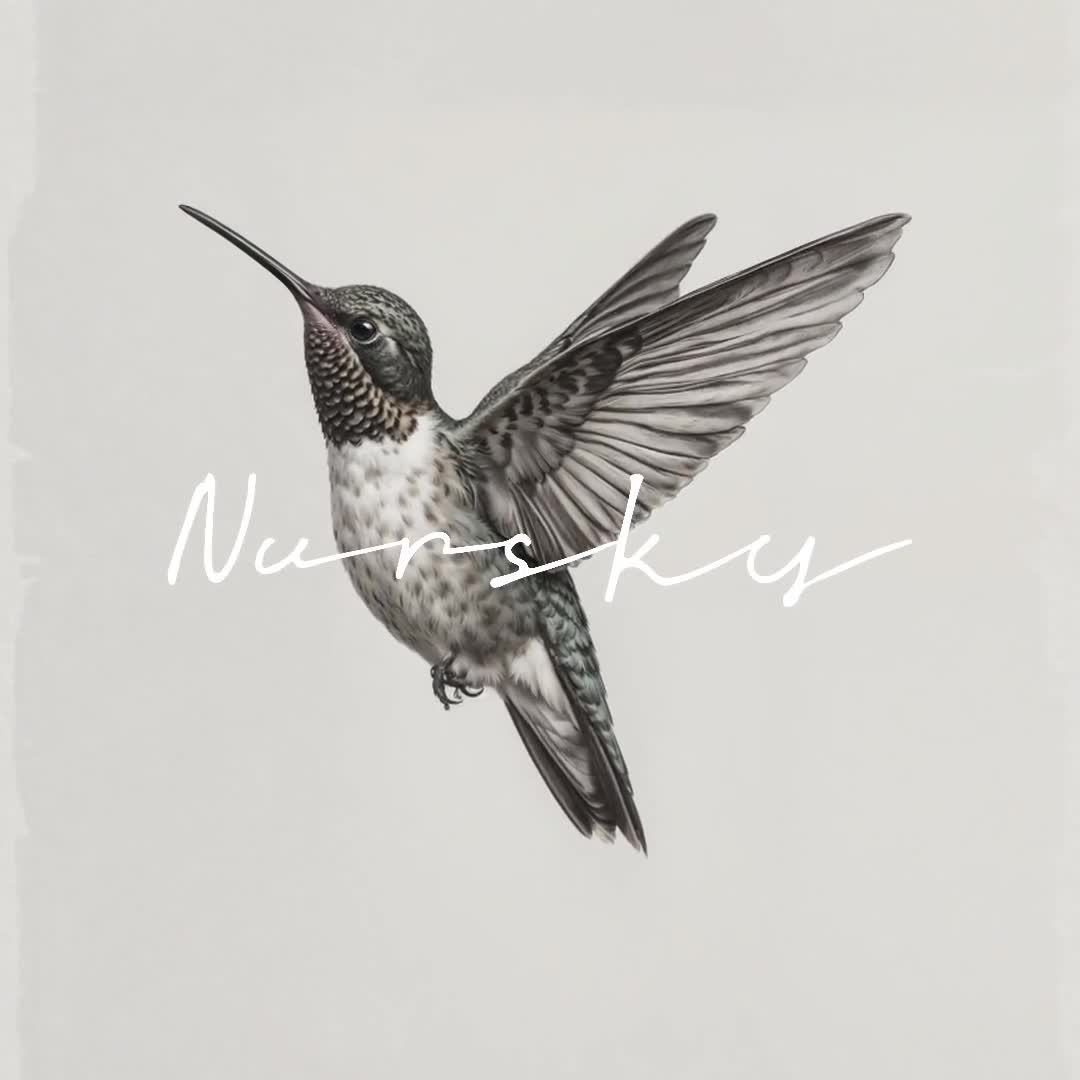 Disegno A Matita Di Colibrì E Fiore UCCELLINI E FIORI