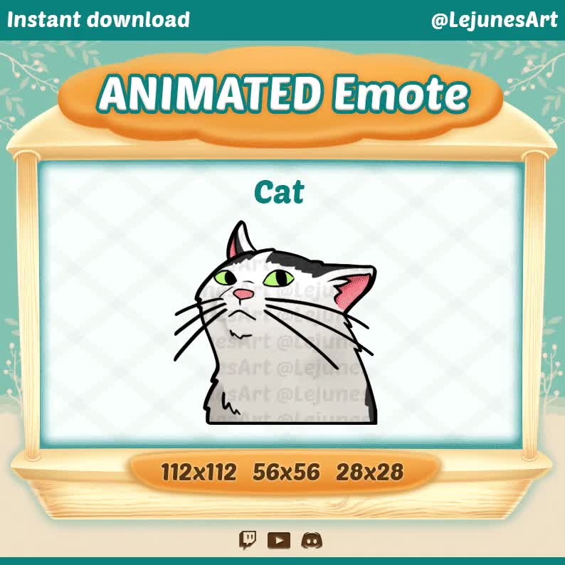 Lindos Gifs De Gatos Y Conejitos