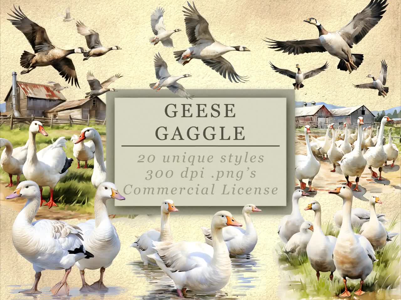 Gaggle Of Geese Clip Art Gaggle Of Geese Walking, Farm Animals,
