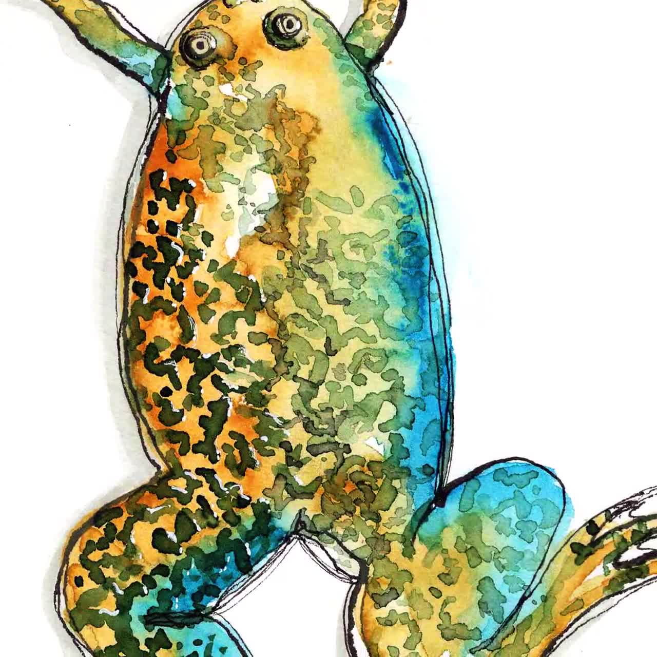 Xenopus Drawing African Clawed Frog, Xenopus Laevis Canvas Print